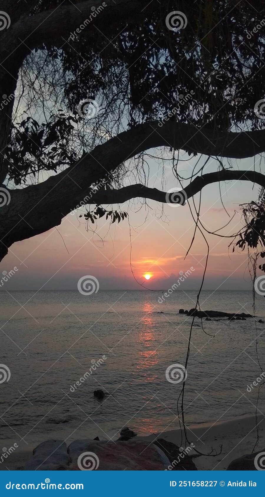 If You See the Sunset Smile Stock Image - Image of smile, sunset: 251658227