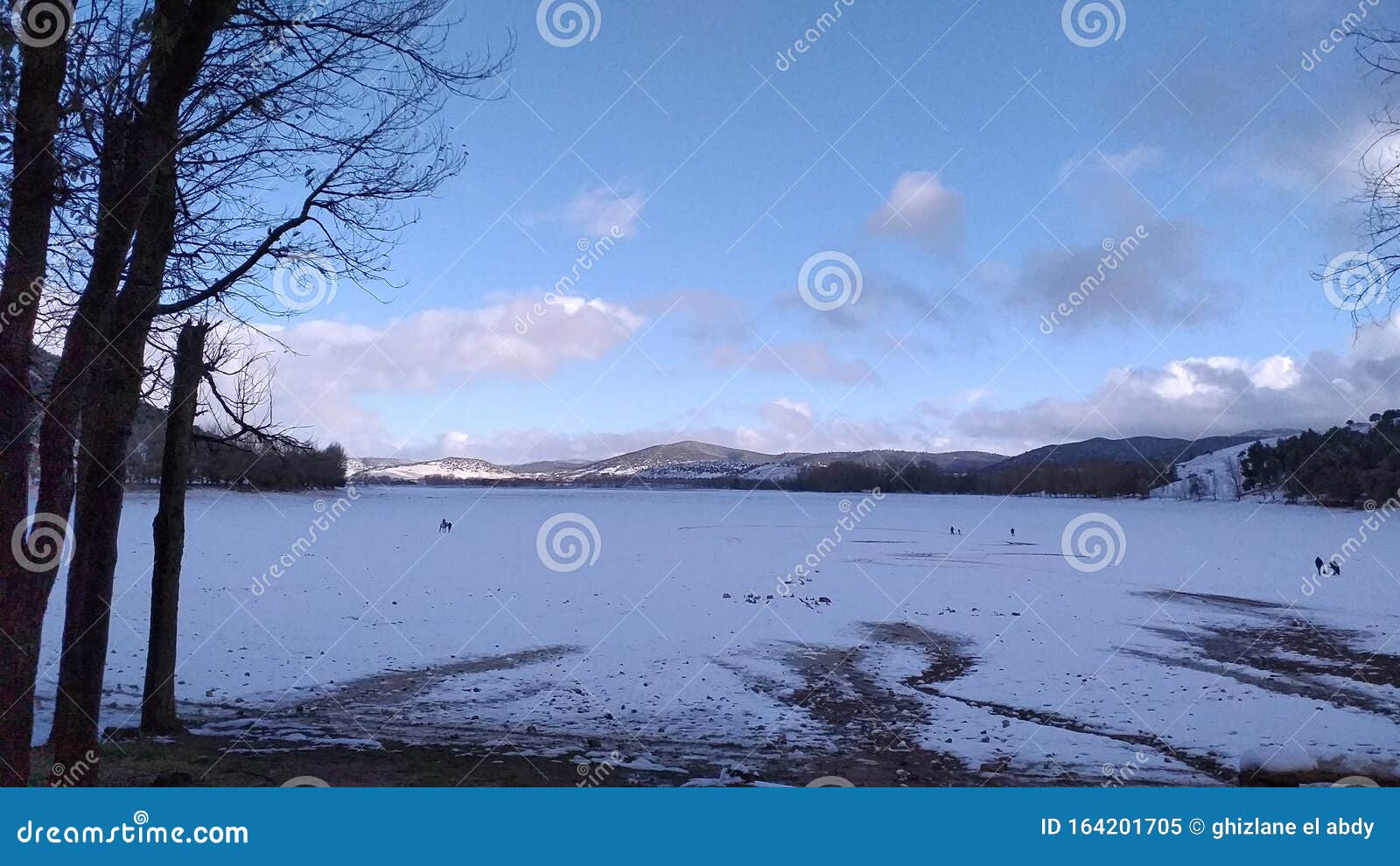 Ifrane morocco stock image. Image of mountain, tree - 164201705