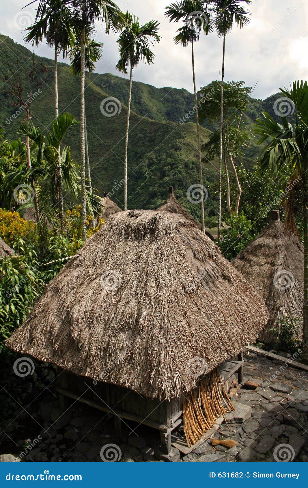Traditional Ifugao Box (Philippines) Stock Image | CartoonDealer.com ...