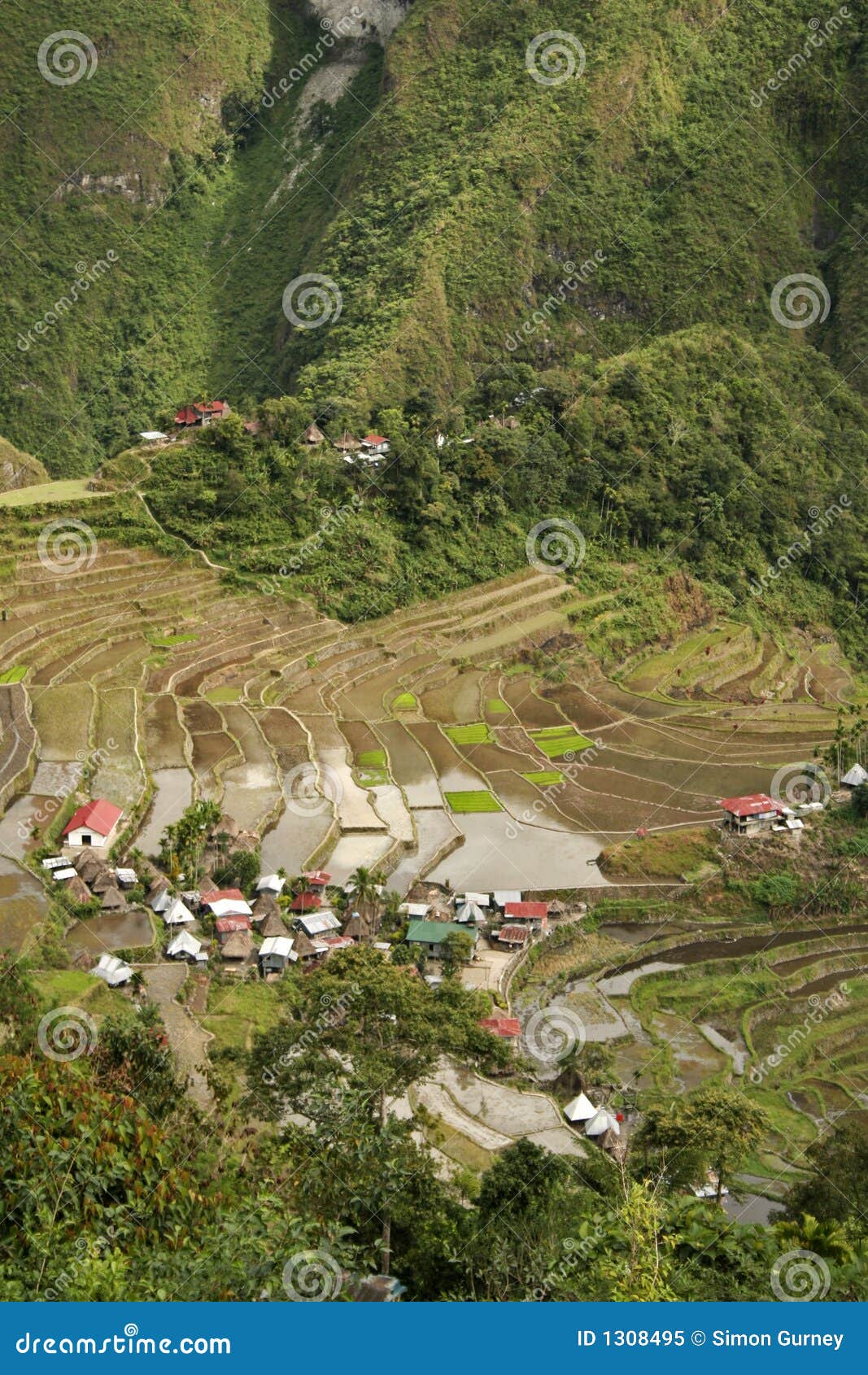 Ifugao Rice Terraces Batad Philippines Stock Image - Image of highway ...