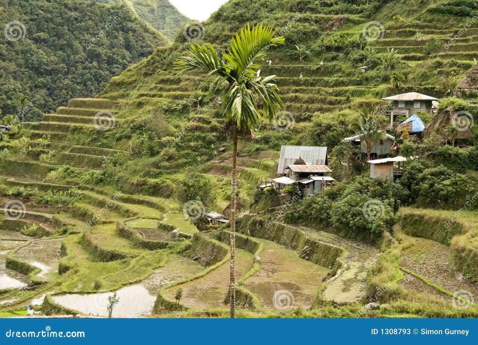 Ifugao Rice Terraces Village 2 Royalty-Free Stock Photo | CartoonDealer ...