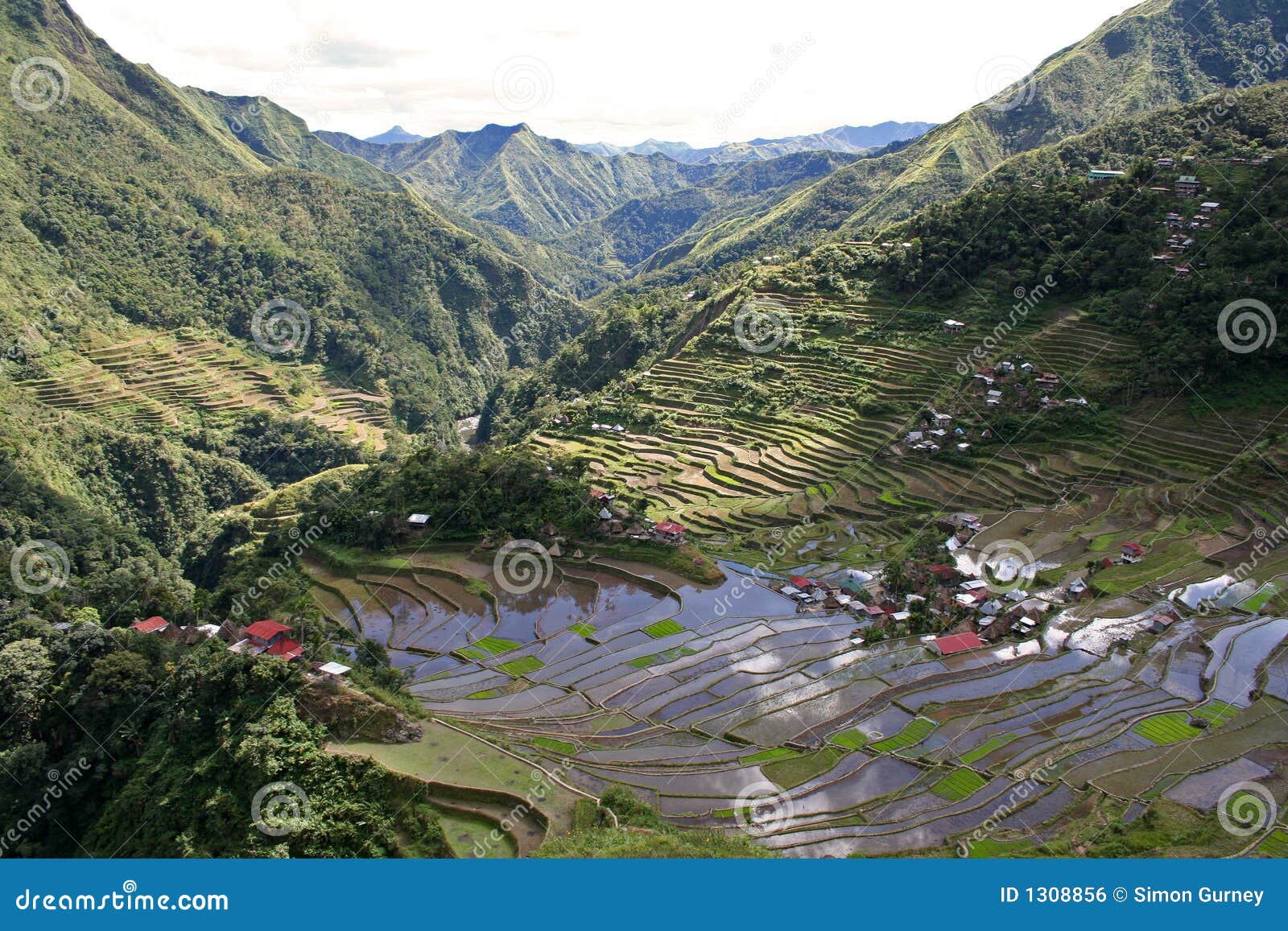 Ifugao Rice Terraces Batad Philippines Stock Photo - Image of landscape ...