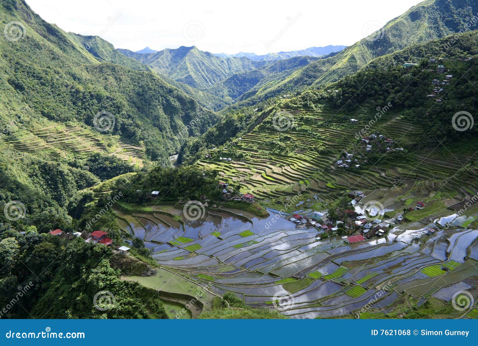 Ifugao Rice Terraces Batad Philippines Stock Photo - Image of scenics ...
