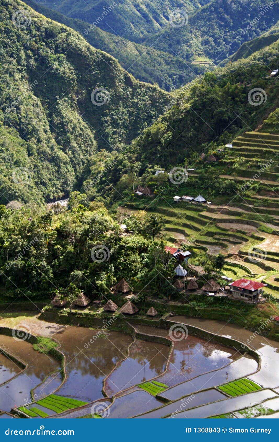 Ifugao Village Rice Terraces Philippines Stock Image - Image of ...