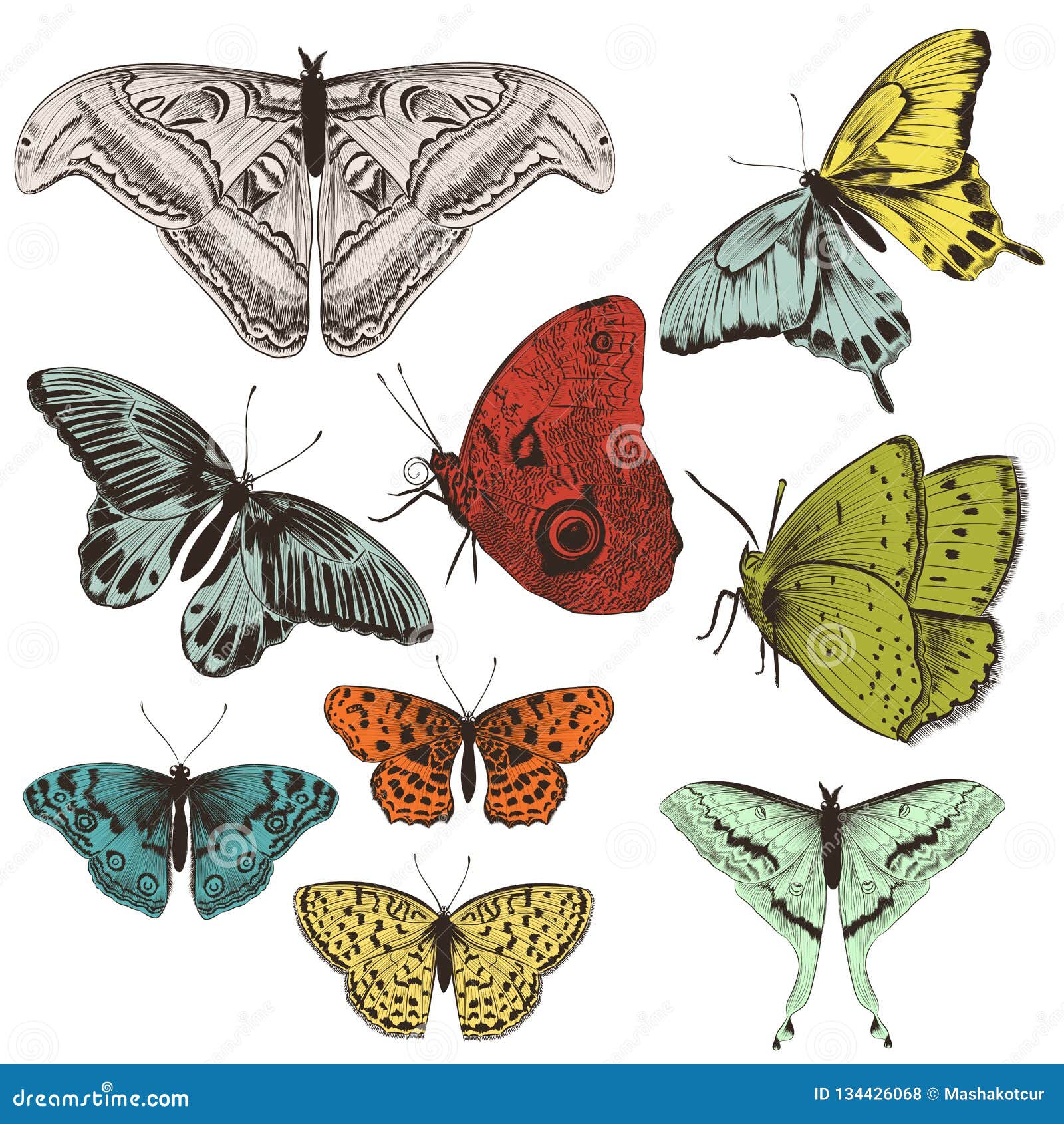 Ig Set of Vecotr Hand Drawn Butterflies Stock Vector - Illustration of ...