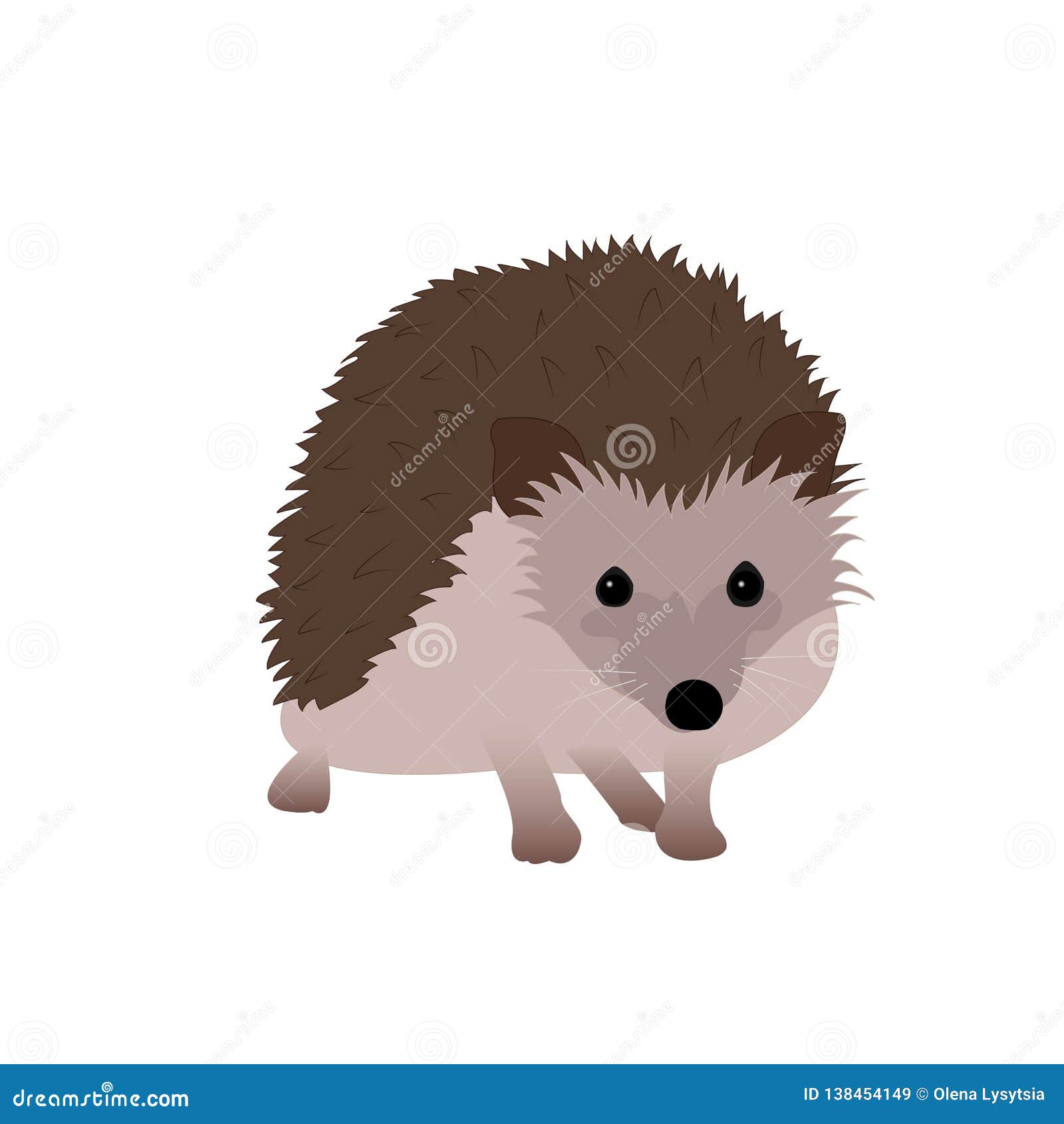 Igel-Vektor-Illustration vektor abbildung. Illustration von igeles ...