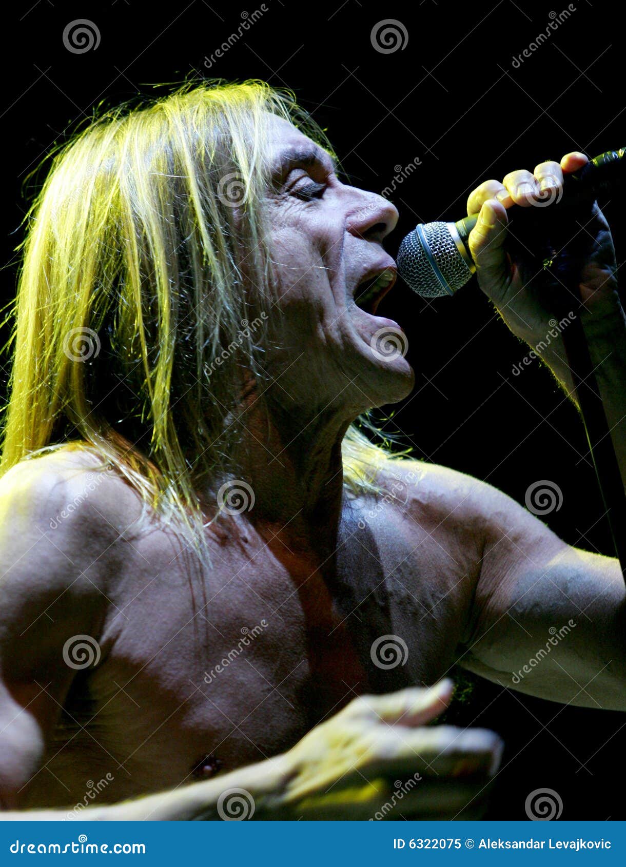 IGGY POP CONCERT editorial image. Image of musician, chord - 6322075