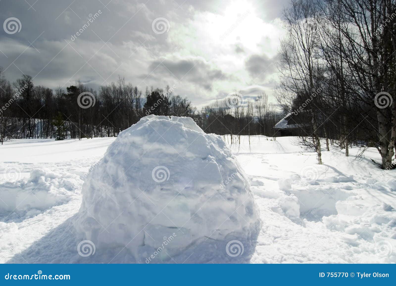 Igloo stock photo. Image of northern, outdoors, january - 755770