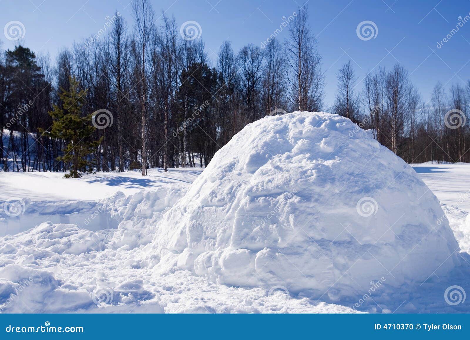 Igloo in Winter stock photo. Image of white, shelter, design - 4710370