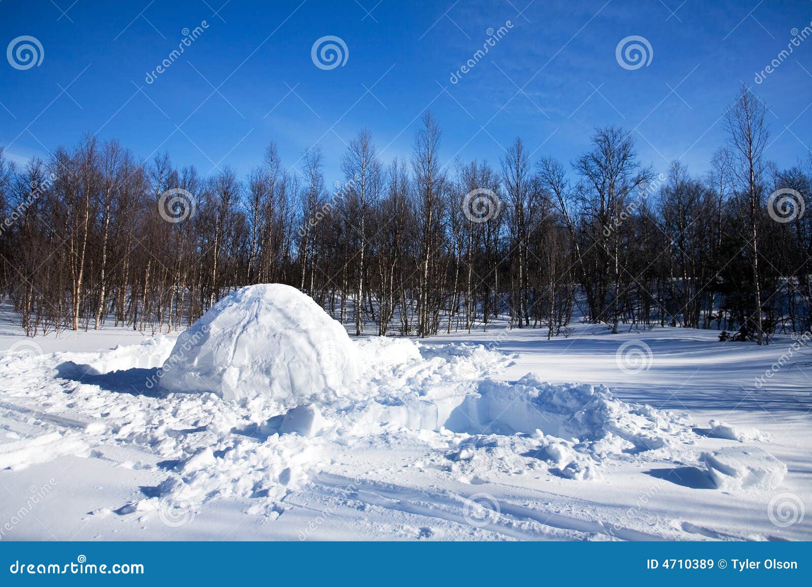 Igloo winter landscape stock image. Image of simple, shelter - 4710389