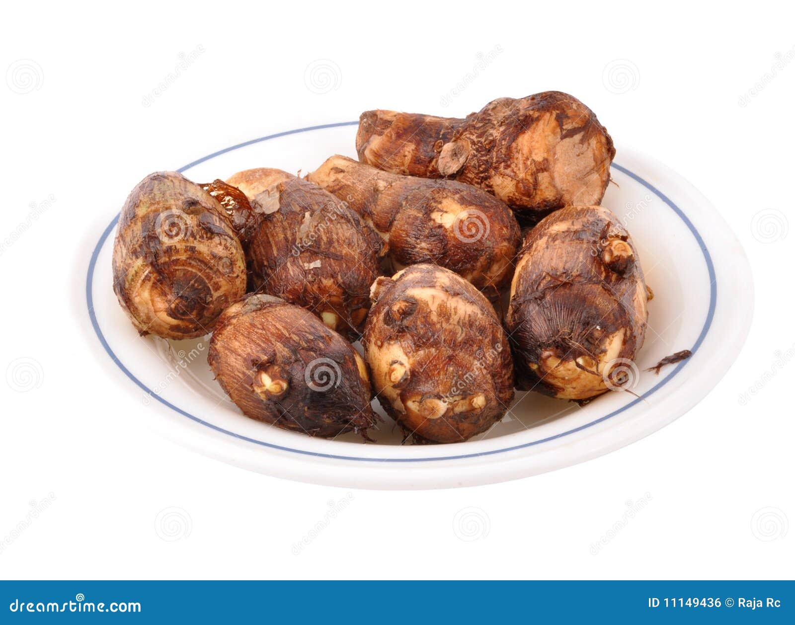 14,131 Ignam Zdjęcia - Bezpłatne i z licenncją Royalty-Free Zdjęcia od ...