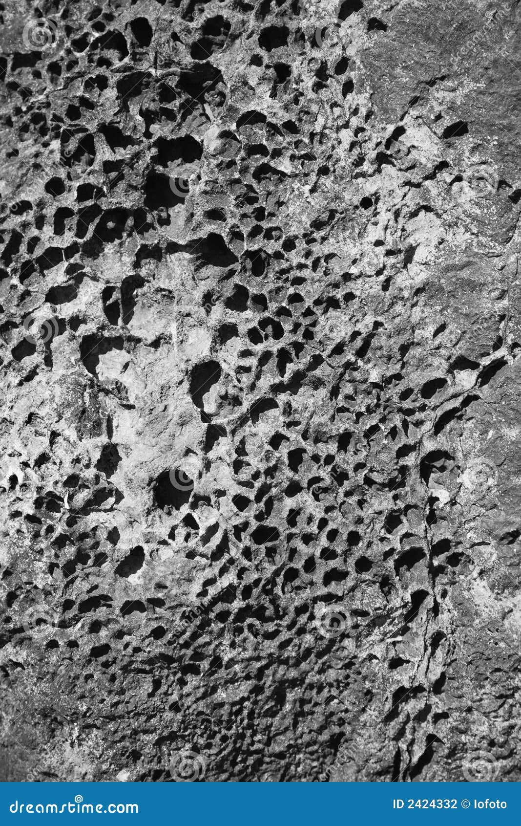 Igneous Rock Andesite Altered In Hydrothermal Alteration Zone Stock ...