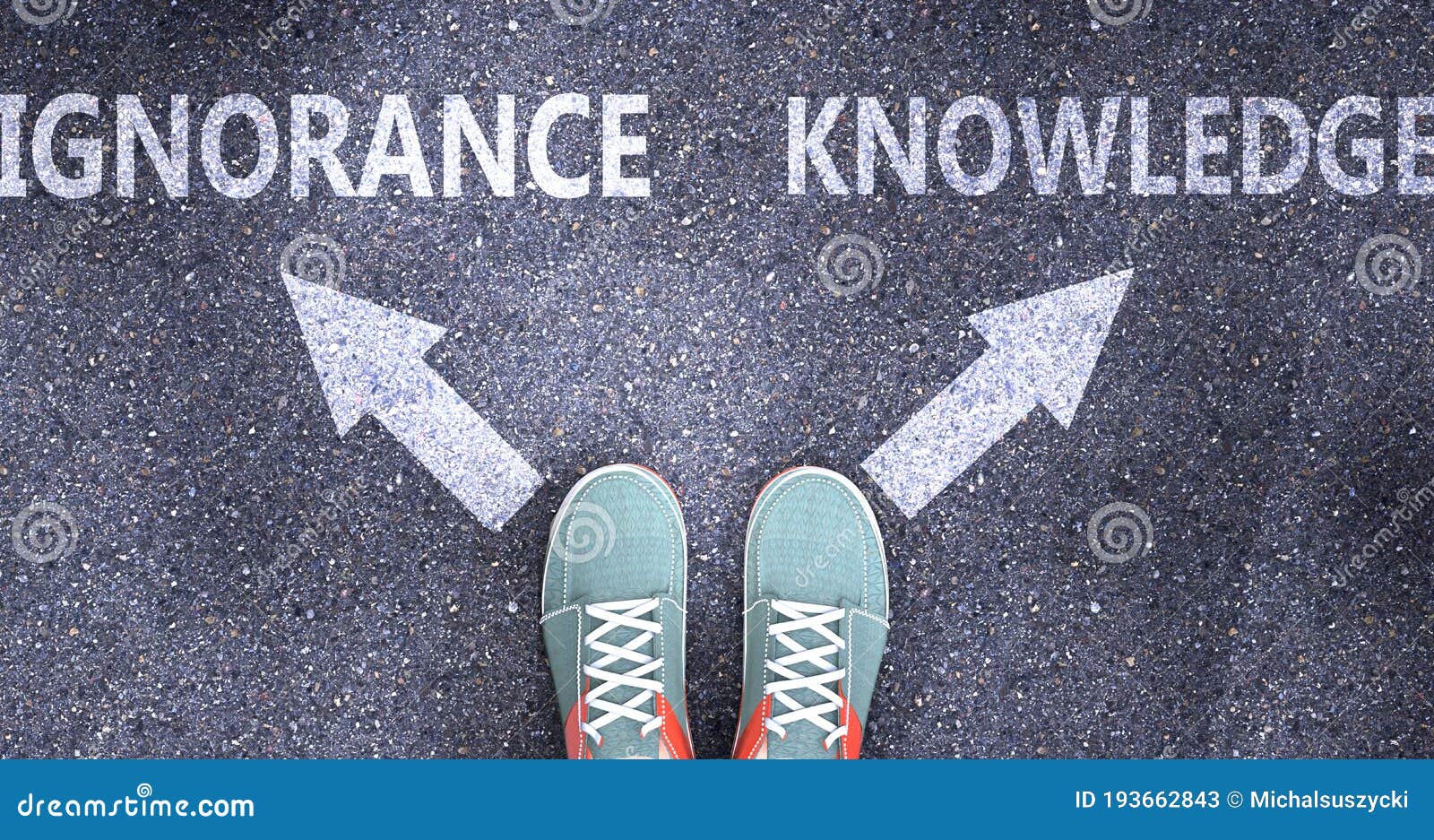 Ignorance and Knowledge As Different Choices in Life - Pictured As ...