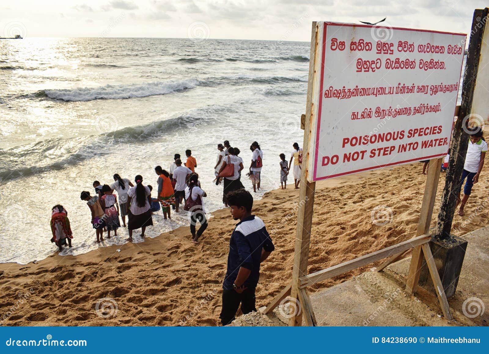 Ignore Warning Signs at the Beach Editorial Image - Image of nature ... Ignore Warning Signs at the Beach Editorial Image - Image of nature ...