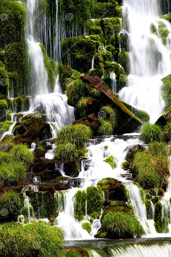 Iguacu Waterfall stock image. Image of rainforests, conservation - 4819277