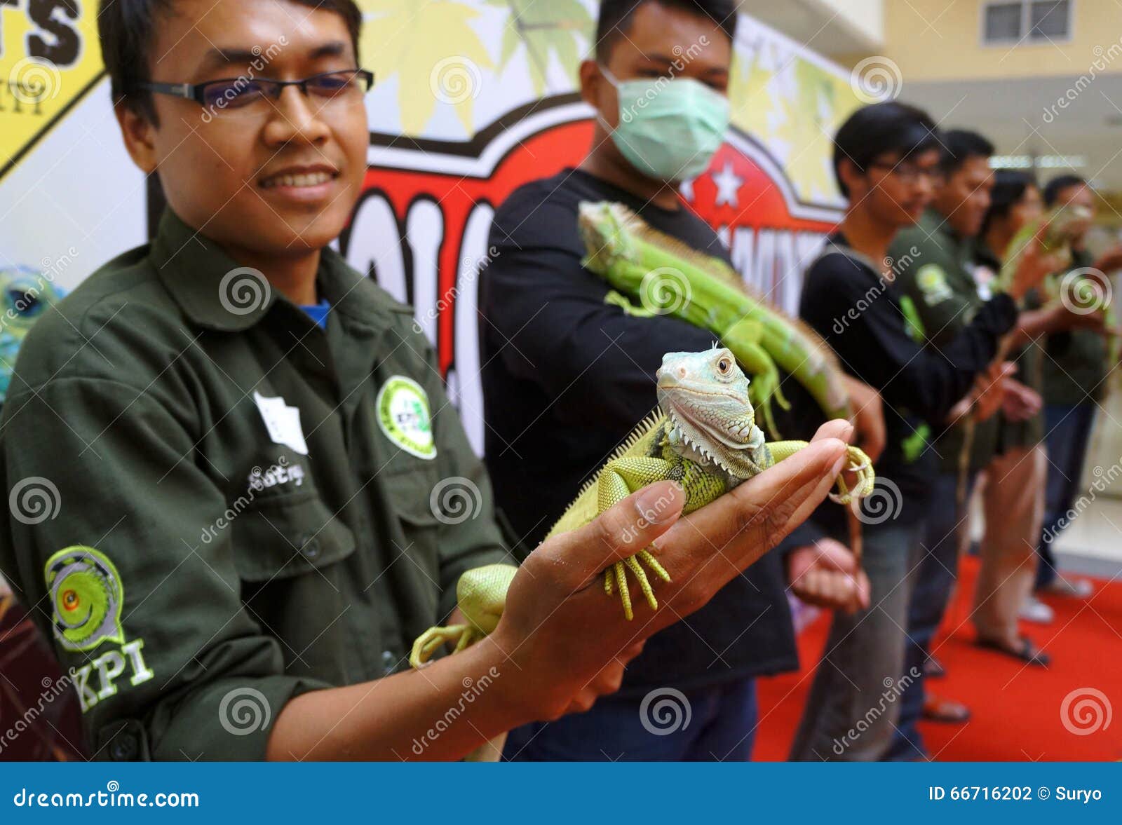 Iguana editorial photography. Image of center, karanganyar - 66716202