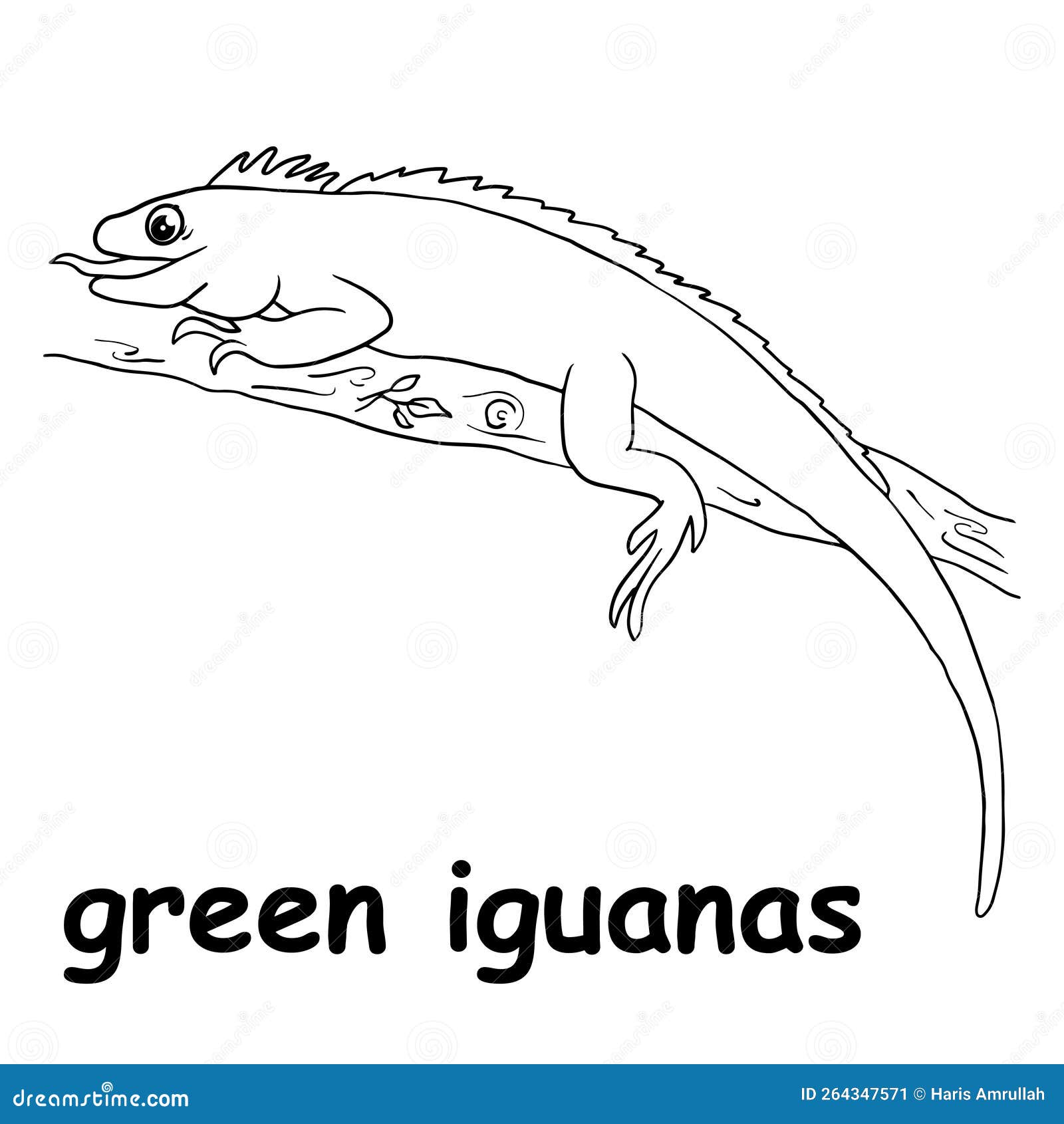 Kids Line Illustration Coloring Green Iguanas. Animal are Just Lines ...