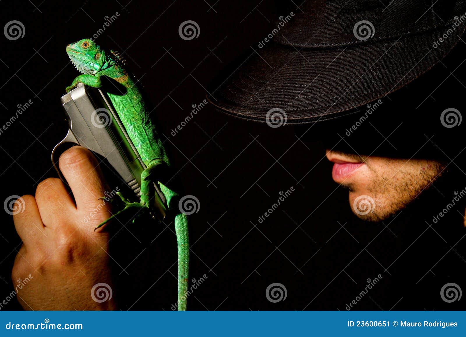Iguana and man stock image. Image of close, holding, animal - 23600651