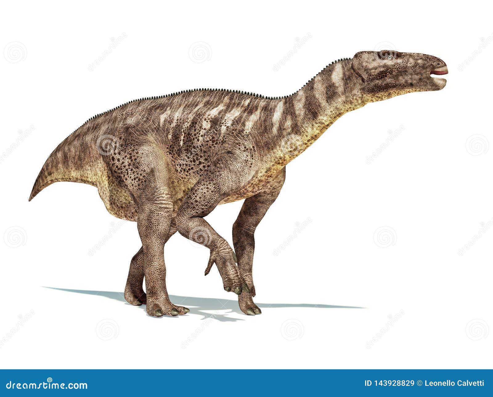 Dot To Dot Iguanodon Dinosaur Coloring Isolated Vector Illustration ...