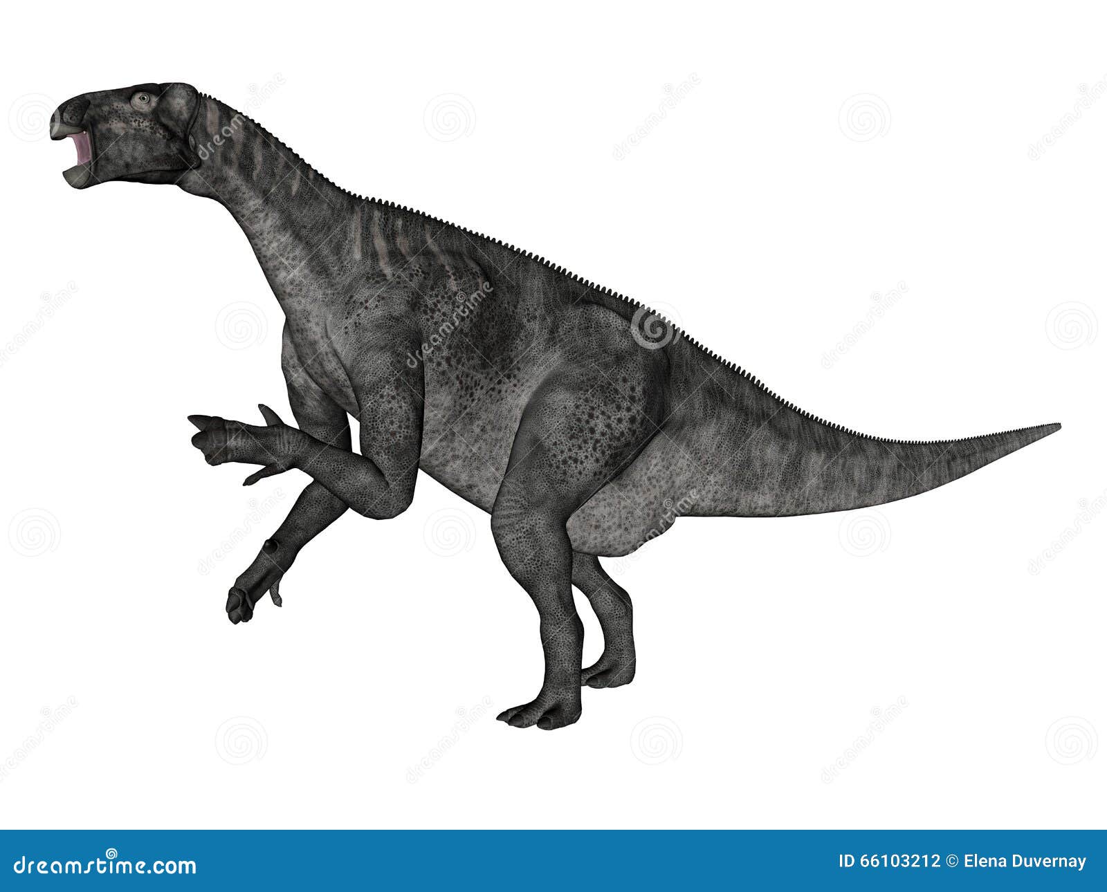 Iguanodon Dinosaur Coloring Page Illustration | CartoonDealer.com ...