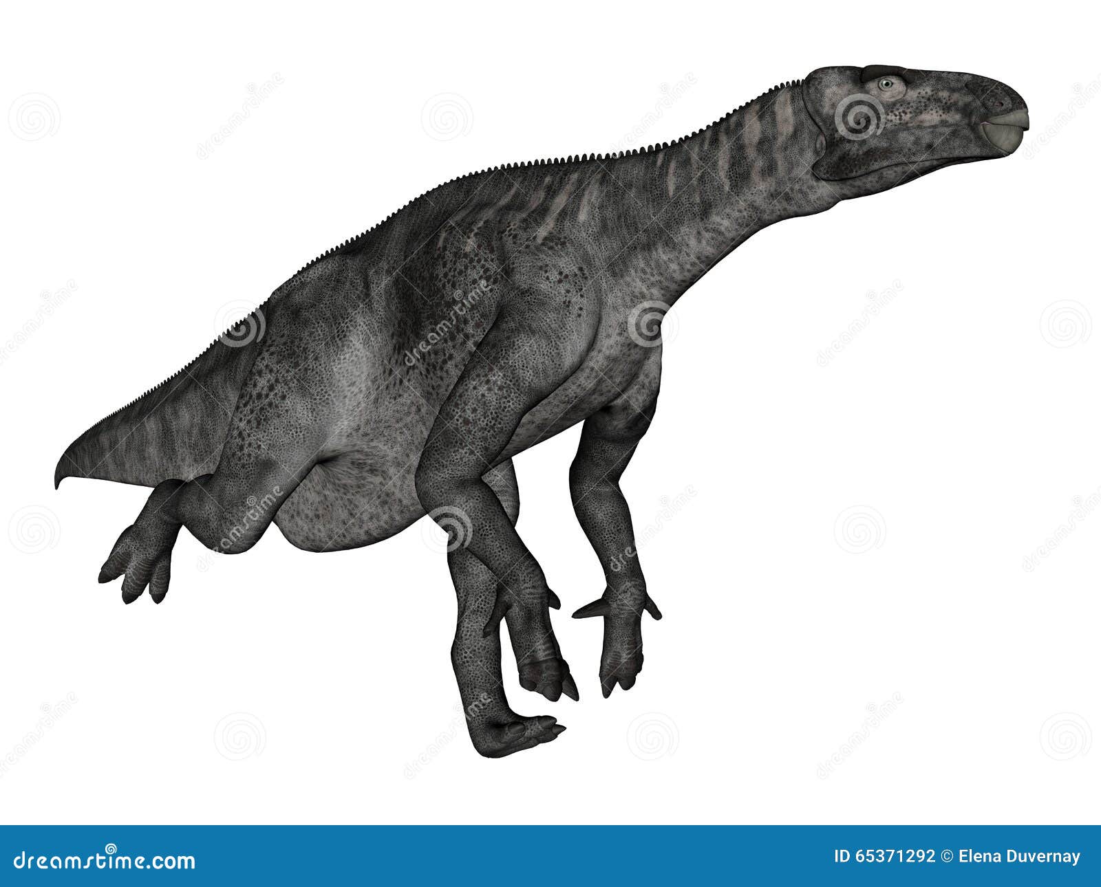 Iguanodon Dinosaur Ancient Vector Illustration Transparent Background ...