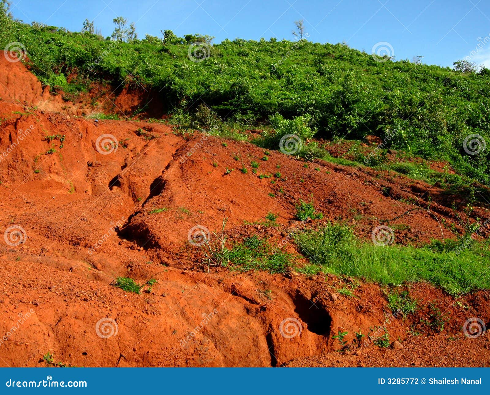Ii indian red soil 库存照片. 图片 包括有 小山, 腐蚀, 土壤, 绿叶, 带红色, 沟壑 - 3285772