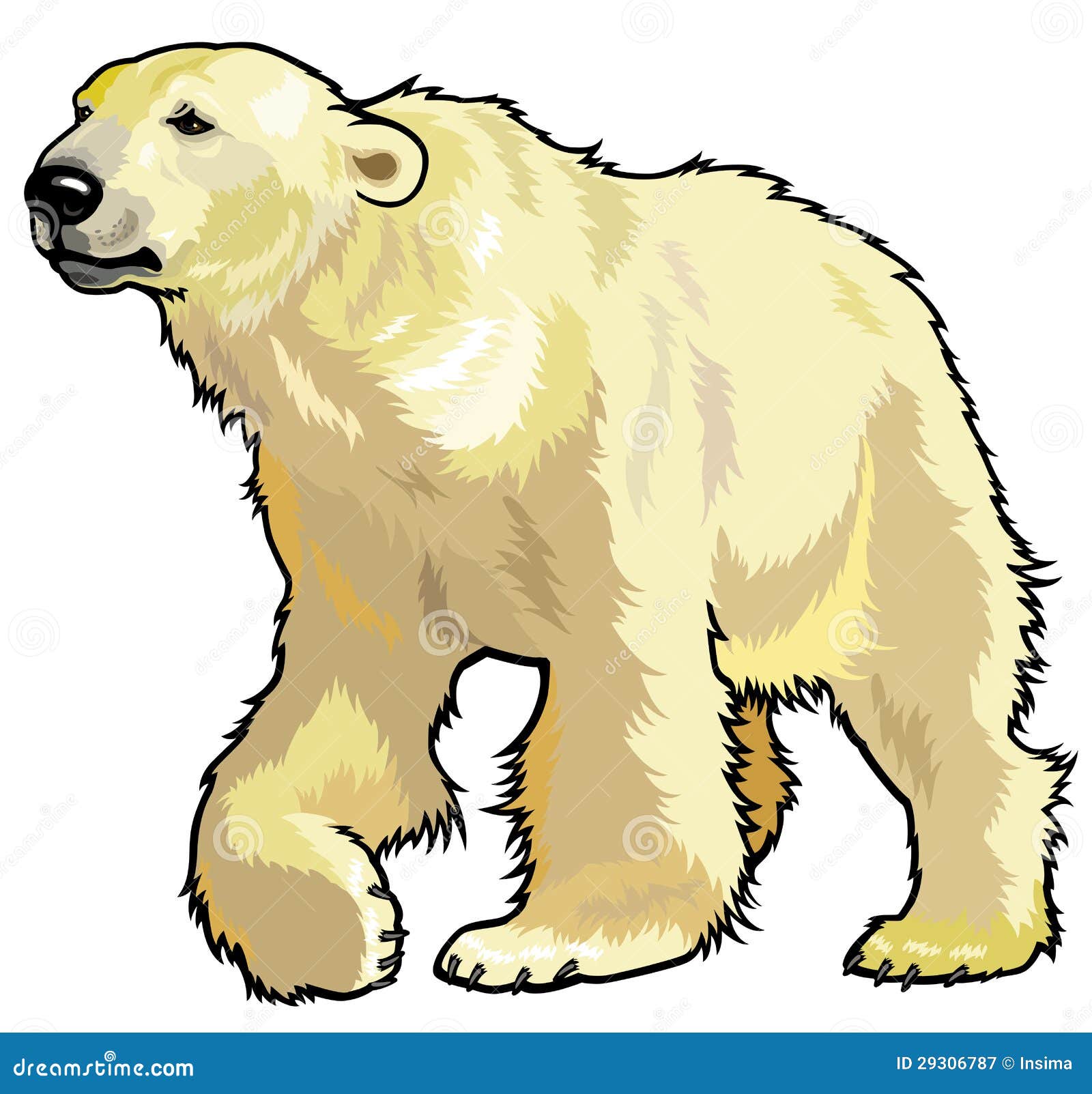 Ijsbeer vector illustratie. Illustration of zoölogie - 29306787