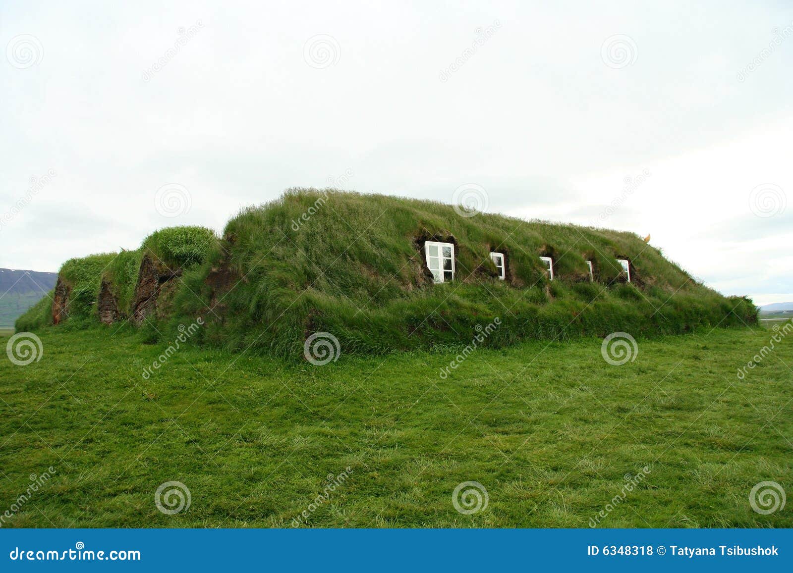 Ijslands grashuis stock foto. Image of berg, moeras, heuvel - 6348318