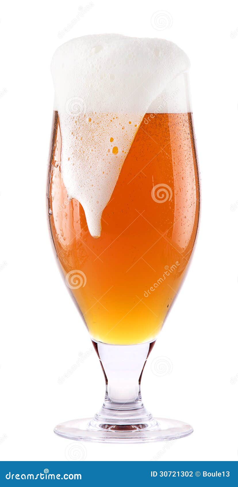 Ijzig Vers Bier Met Geïsoleerd Schuim Stock Foto - Image of alcohol ...