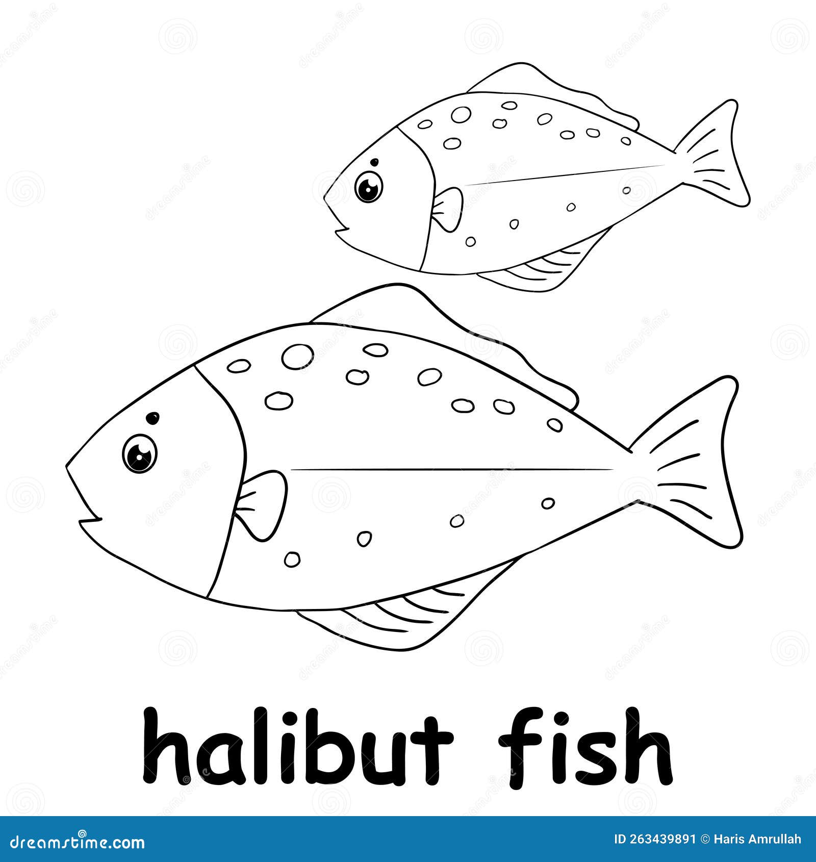 Kids Line Illustration Coloring Halibut Fish. Animal Outline Stock ...