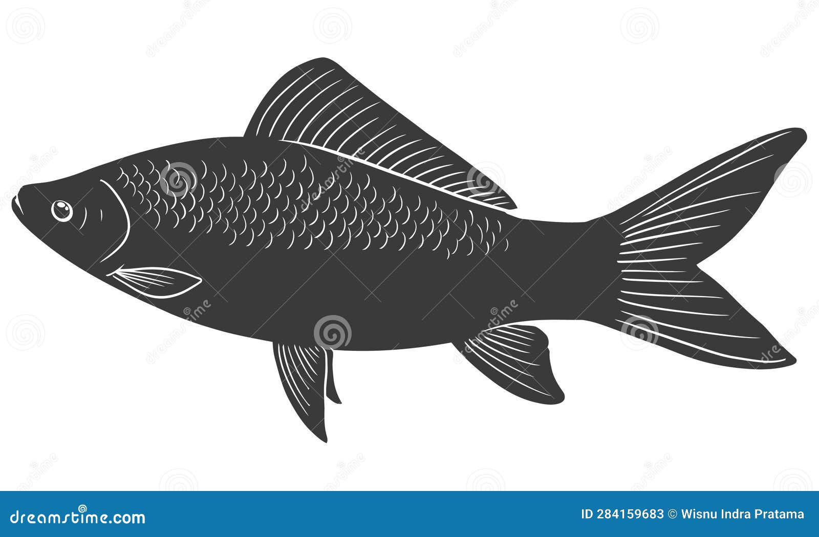 Ikan Nilem stock vector. Illustration of isolated, fresh - 284159683 Ikan Nilem stock vector. Illustration of isolated, fresh - 284159683