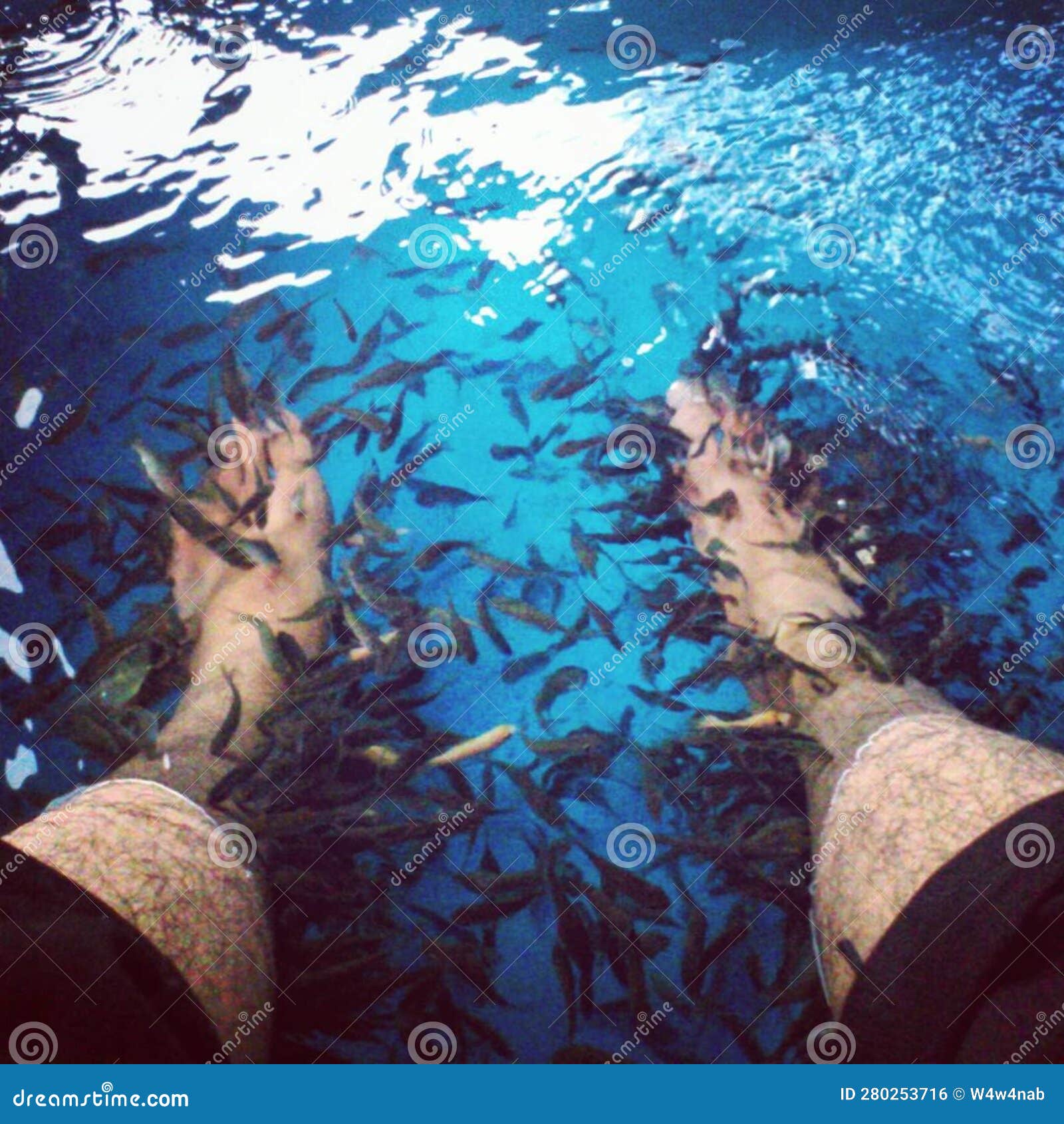 Iktioterapi/fish Therapy/terapi Ikan Stock Photo - Image of ...