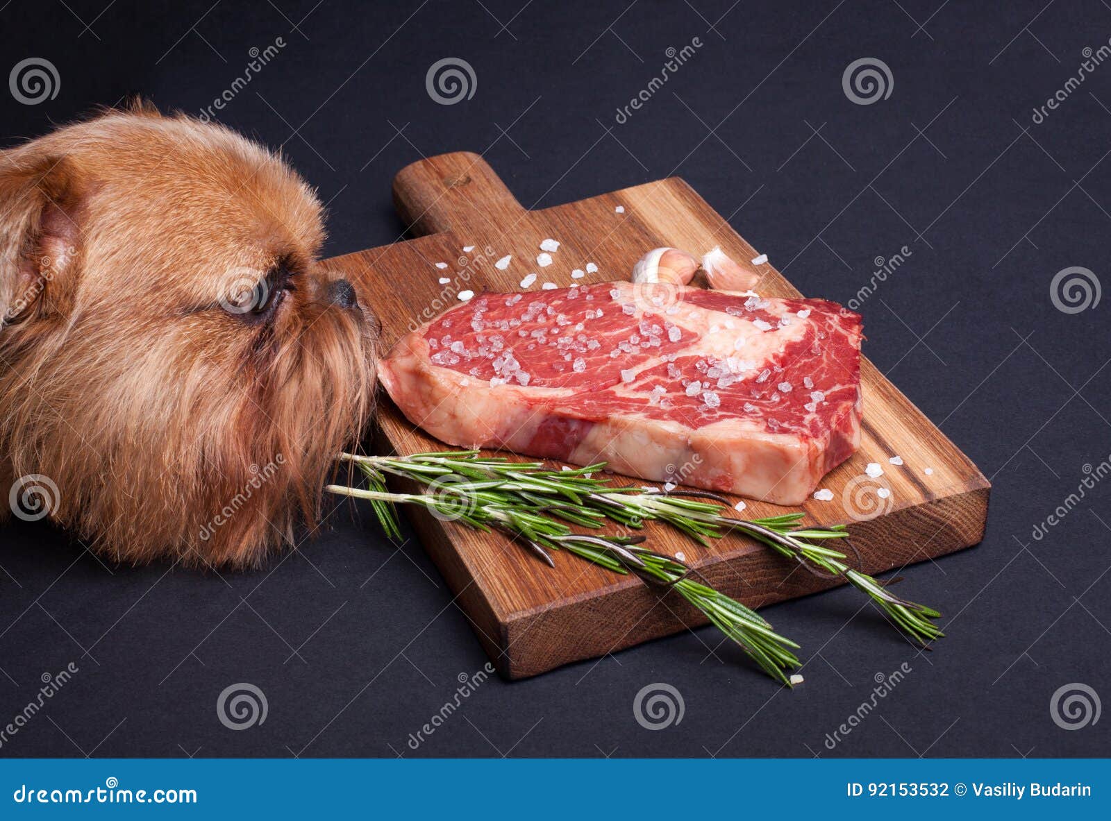 Il Cane Affamato Rosso Prova a Rubare Un Pezzo Di Carne Di Marmo Dalla ... Il Cane Affamato Rosso Prova a Rubare Un Pezzo Di Carne Di Marmo Dalla ...