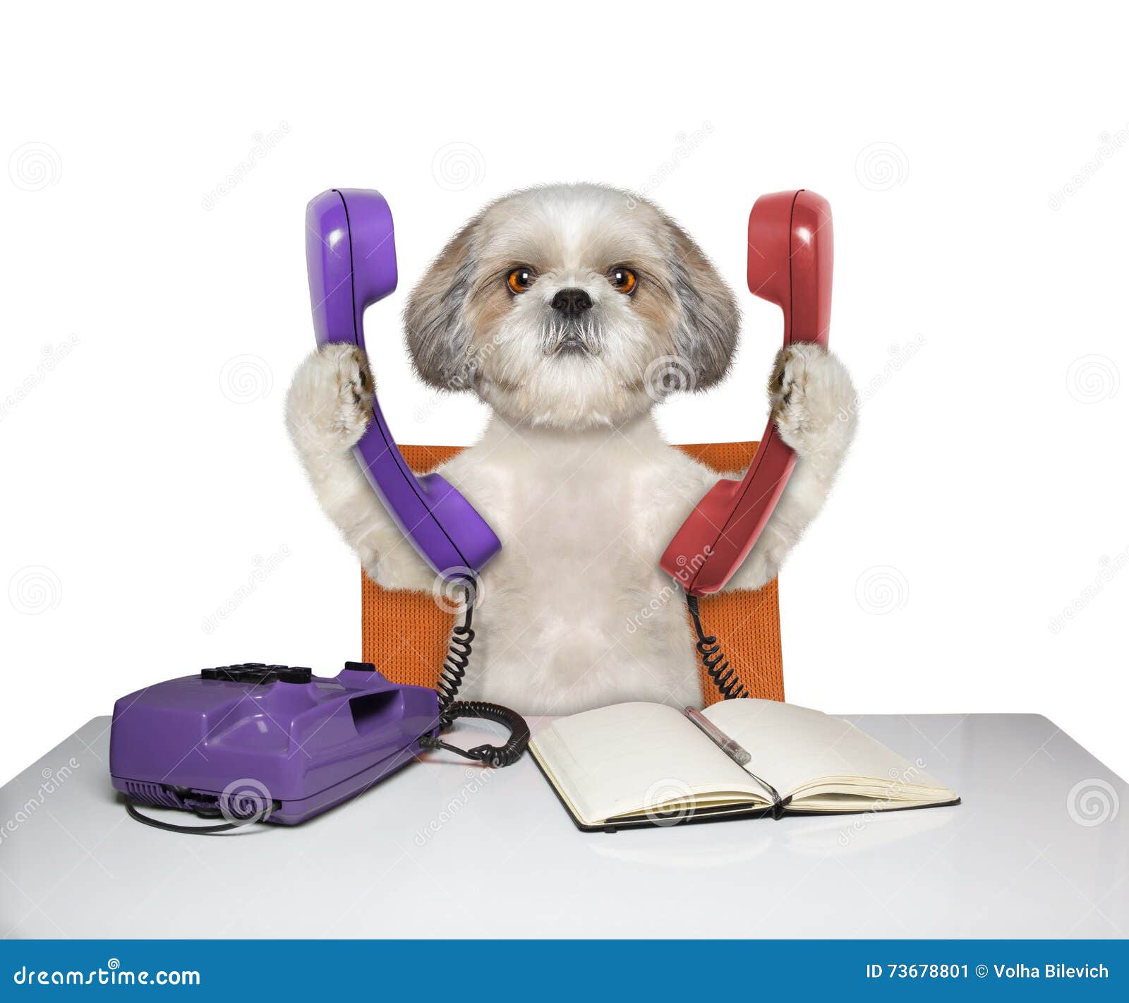 Il Cane Sta Discutendo a Fondo Due Telefoni Immagine Stock - Immagine ... Il Cane Sta Discutendo a Fondo Due Telefoni Immagine Stock - Immagine ...