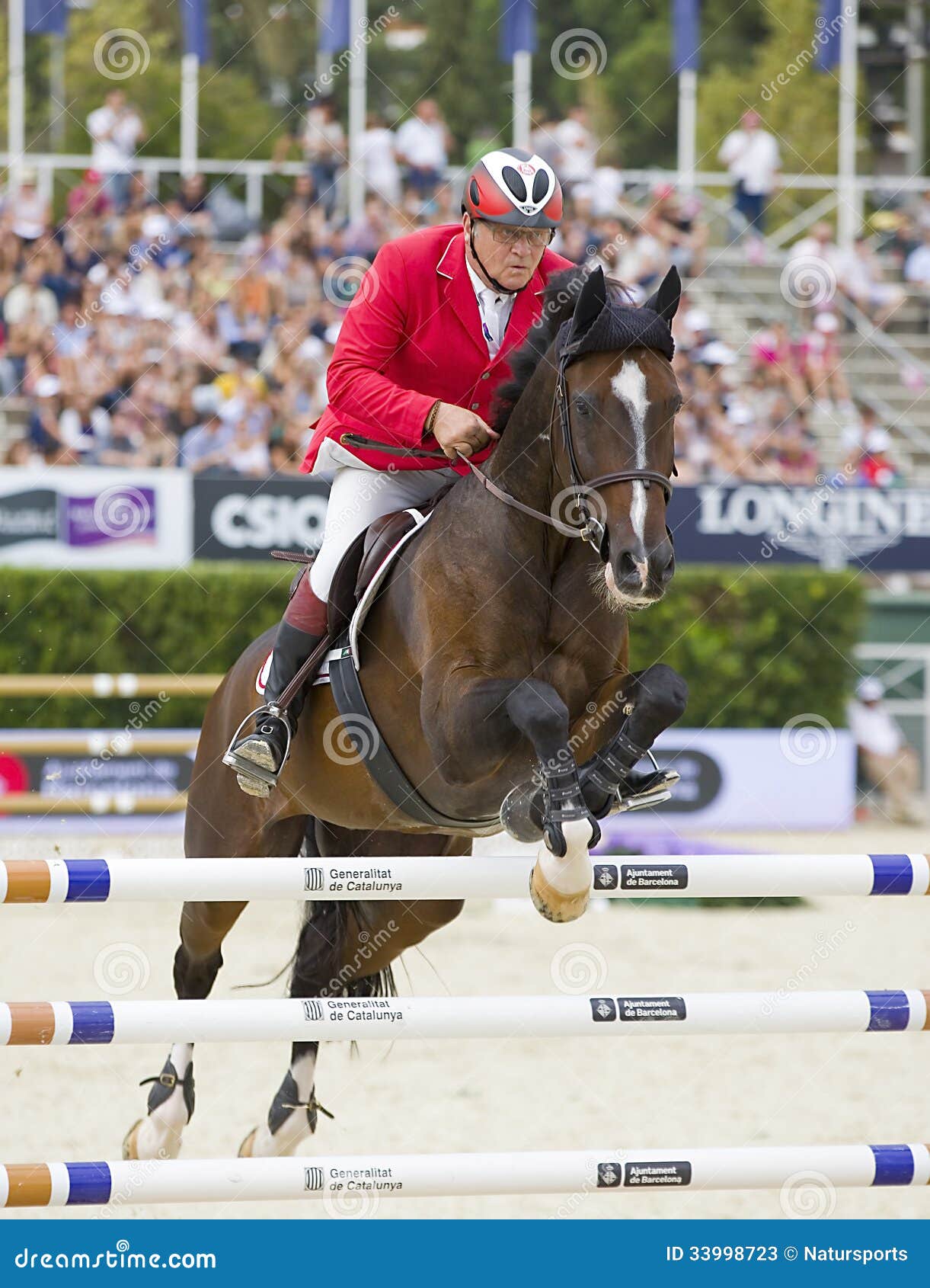 Il Cavallo Che Salta - Thomas Fruhmann Fotografia Stock Editoriale ...