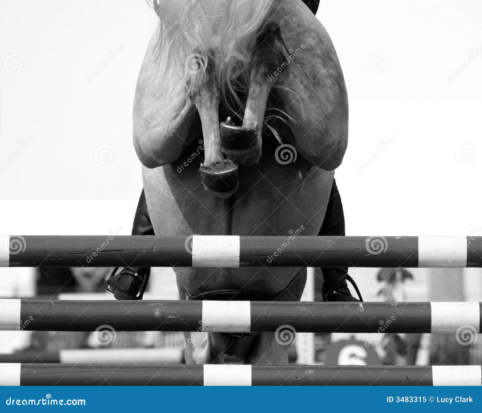 Il cavallo salta immagine stock. Immagine di salto, sport - 3483315