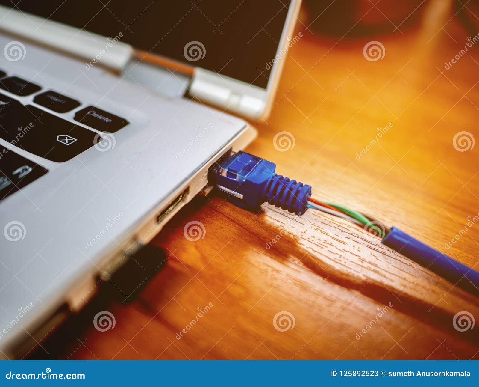 Il Cavo Di Lan Blu Di Colore Si Collega Al Computer Portatile Immagine ...