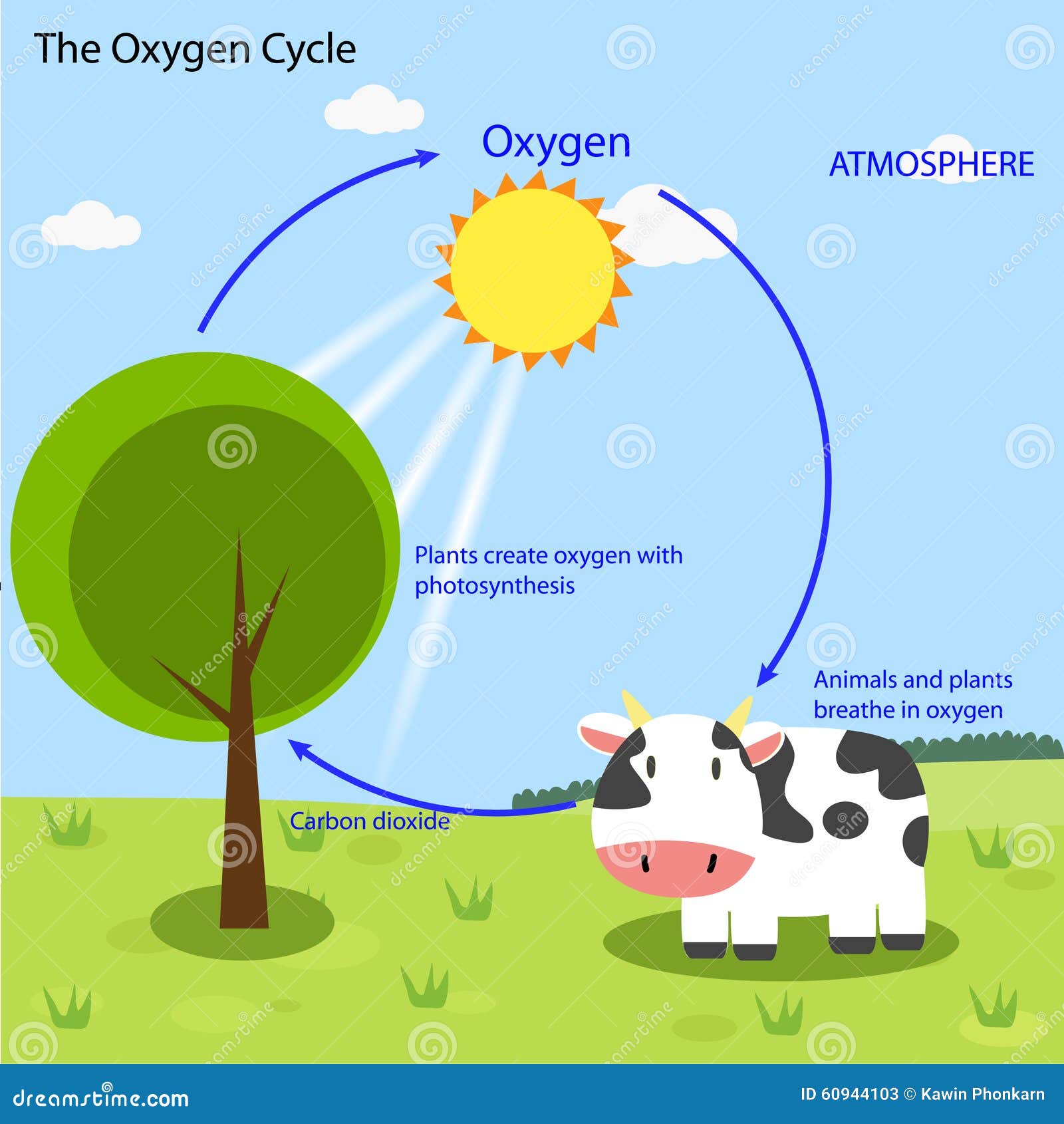 Il ciclo dell'ossigeno illustrazione vettoriale. Illustrazione di ...