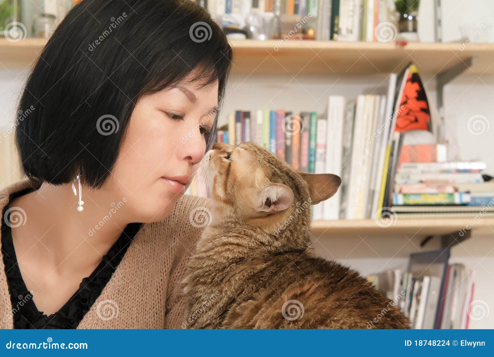 3,900 Bacio Del Gatto Foto - Foto Stock Gratis e Royalty-Free da Dreamstime