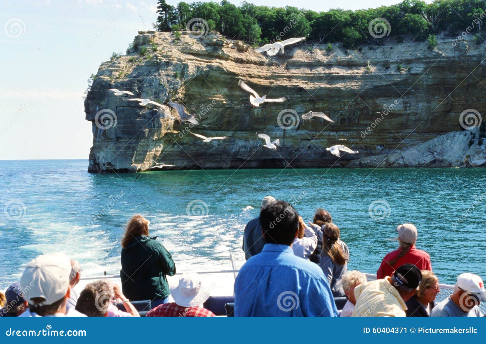 Il Lago Superiore, Michigan Fotografia Editoriale - Immagine di uccelli ...