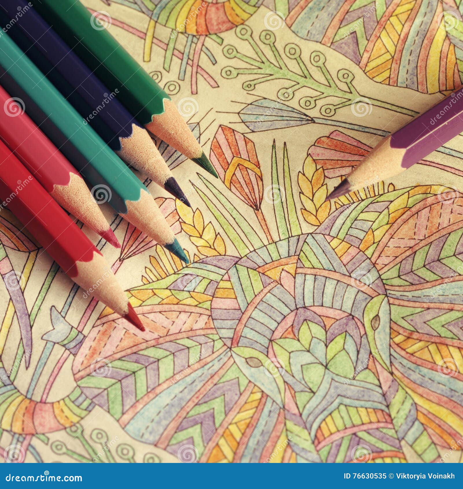 Il Libro Da Colorare Con Le Matite Immagine Stock - Immagine di artista ...