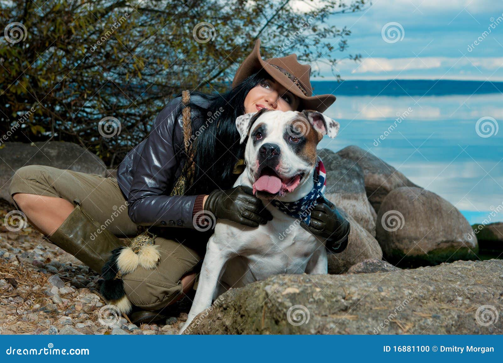Il mio cane bello fotografia stock. Immagine di quiete - 16881100