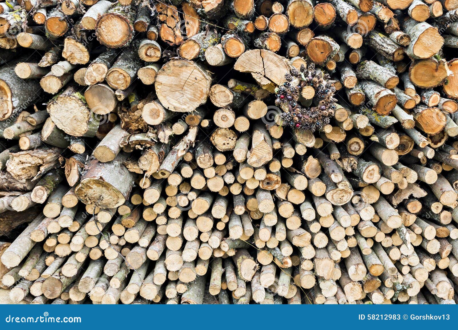 Il Mucchio Di Collega Una Foresta Immagine Stock - Immagine di cerchio ...