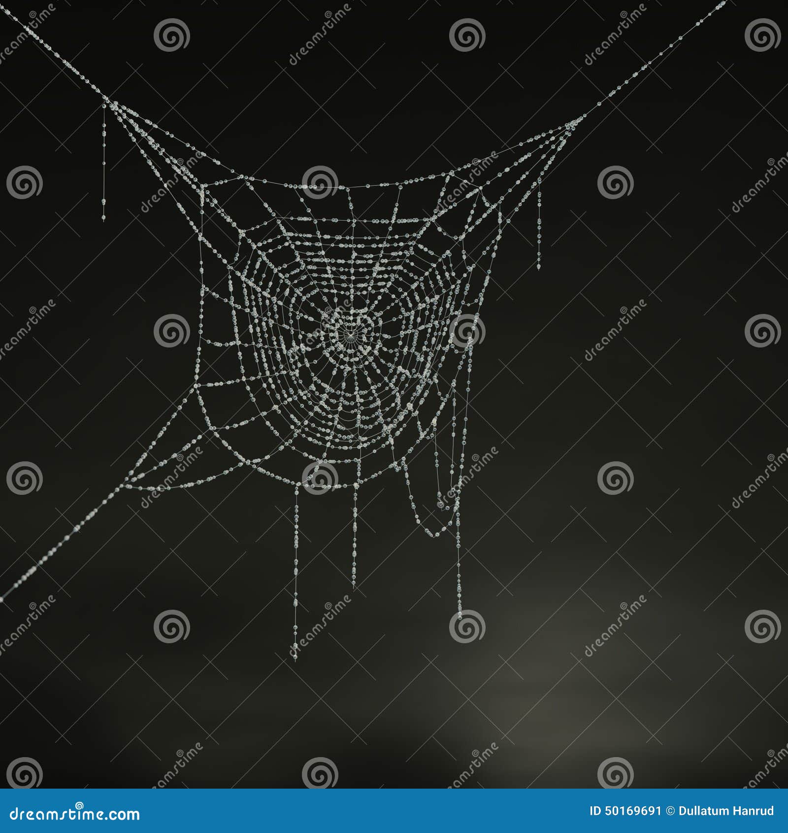 Il nido del ragno illustrazione di stock. Illustrazione di goccia ...