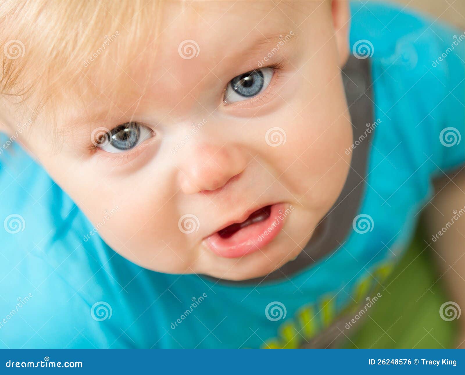 Il Piccolo Tirante Povero Sta Gridando Fotografia Stock - Immagine di ... Il Piccolo Tirante Povero Sta Gridando Fotografia Stock - Immagine di ...