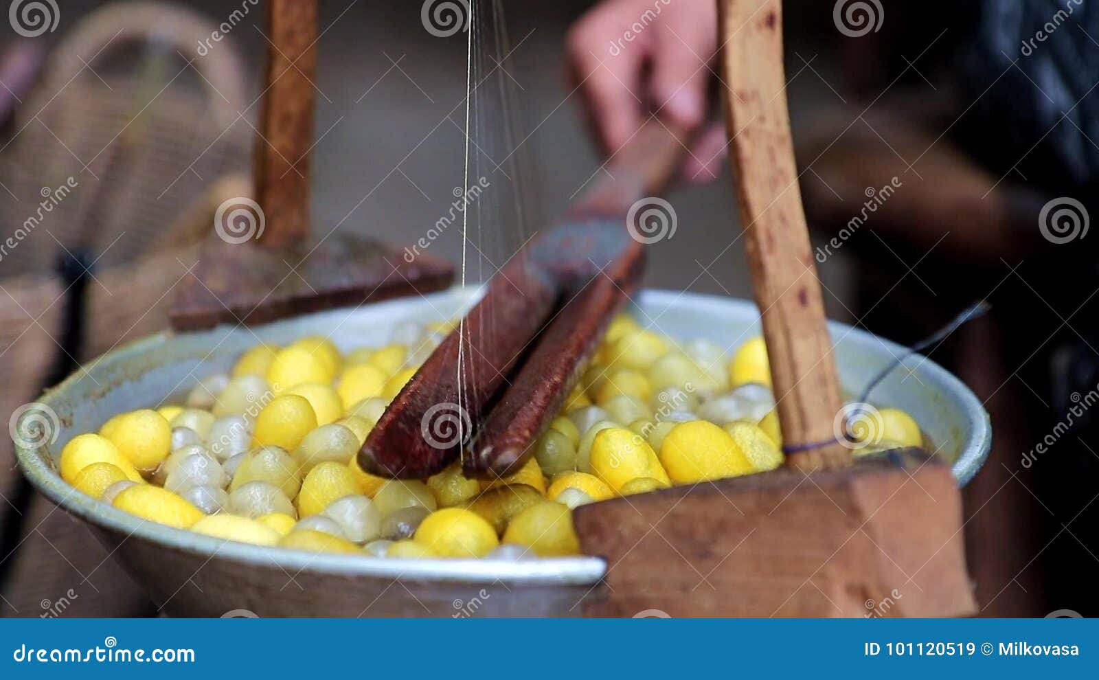 Il Processo Di Produzione Della Seta Archivi Video - Video di materiale ...