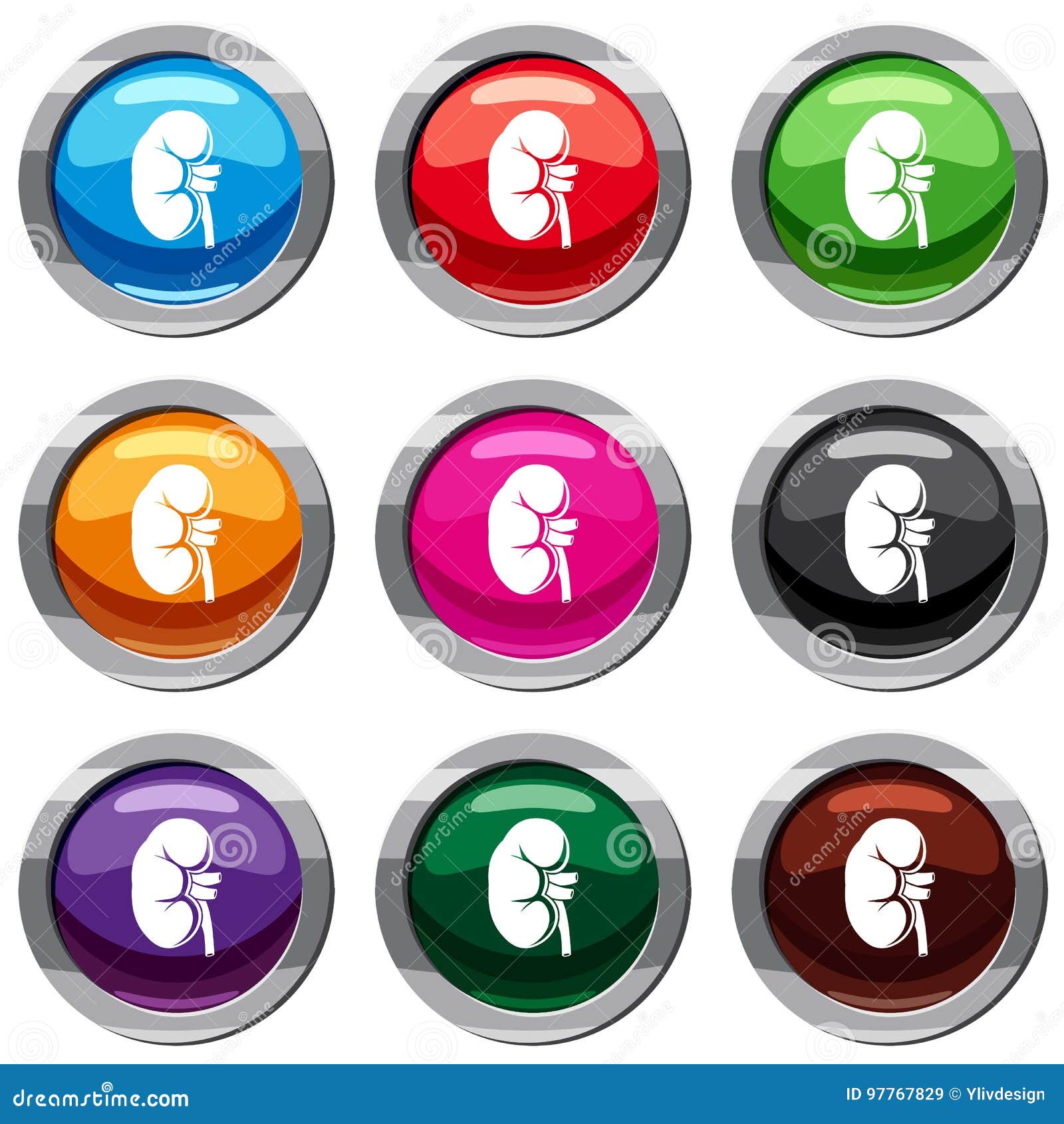 Il Rene Ha Messo La Raccolta 9 Illustrazione Vettoriale - Illustrazione ...