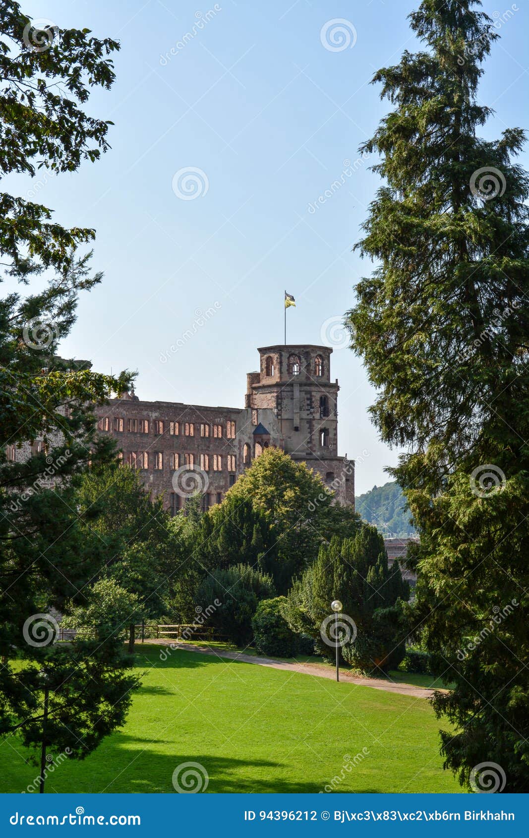 Il Vecchio Castello Di Heidelberg Con Un Parco Fotografia Stock ...