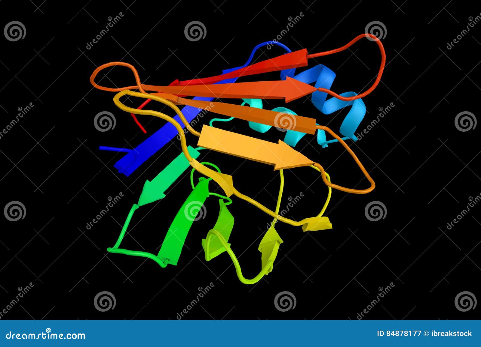 Ileal Fatty Acid Binding Protein. FABP6 is Able To Bind Bile Acids ...