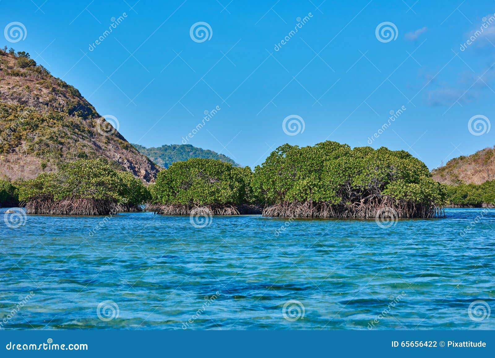Ilha Palawan Filipinas De Linapacan Foto de Stock - Imagem de marco ...